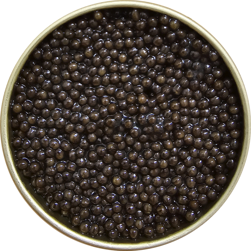 Caviar Premium 500g | World Caviar House